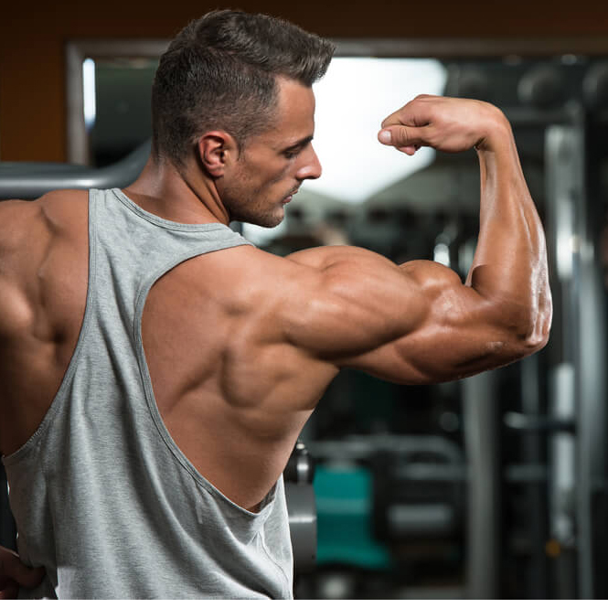 Building Muscle as Anti-aging Regime - Gentlemens Guide LA